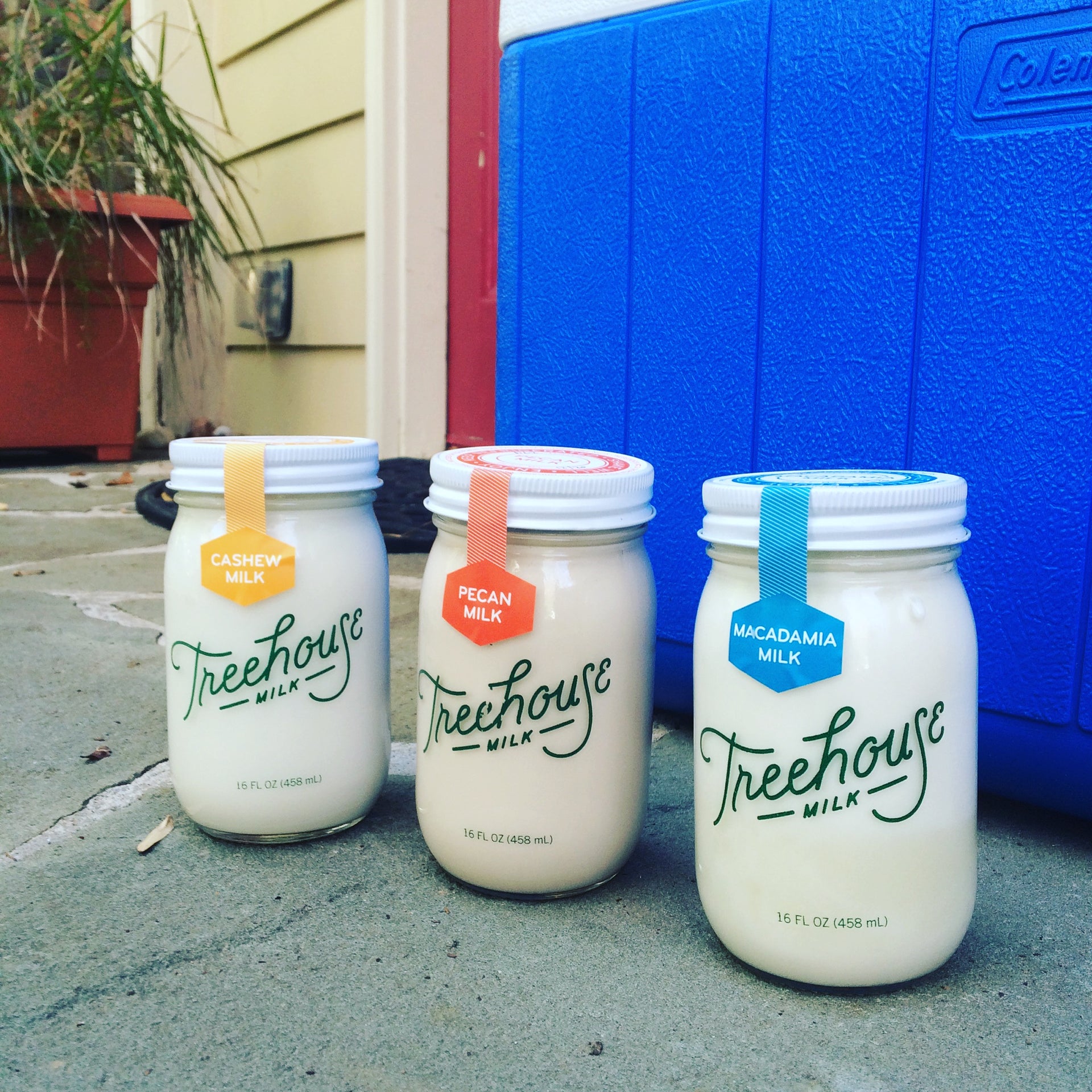 About – Treehouse Naturals